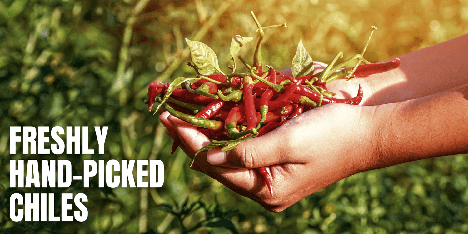 Amazing Chiles and Spices